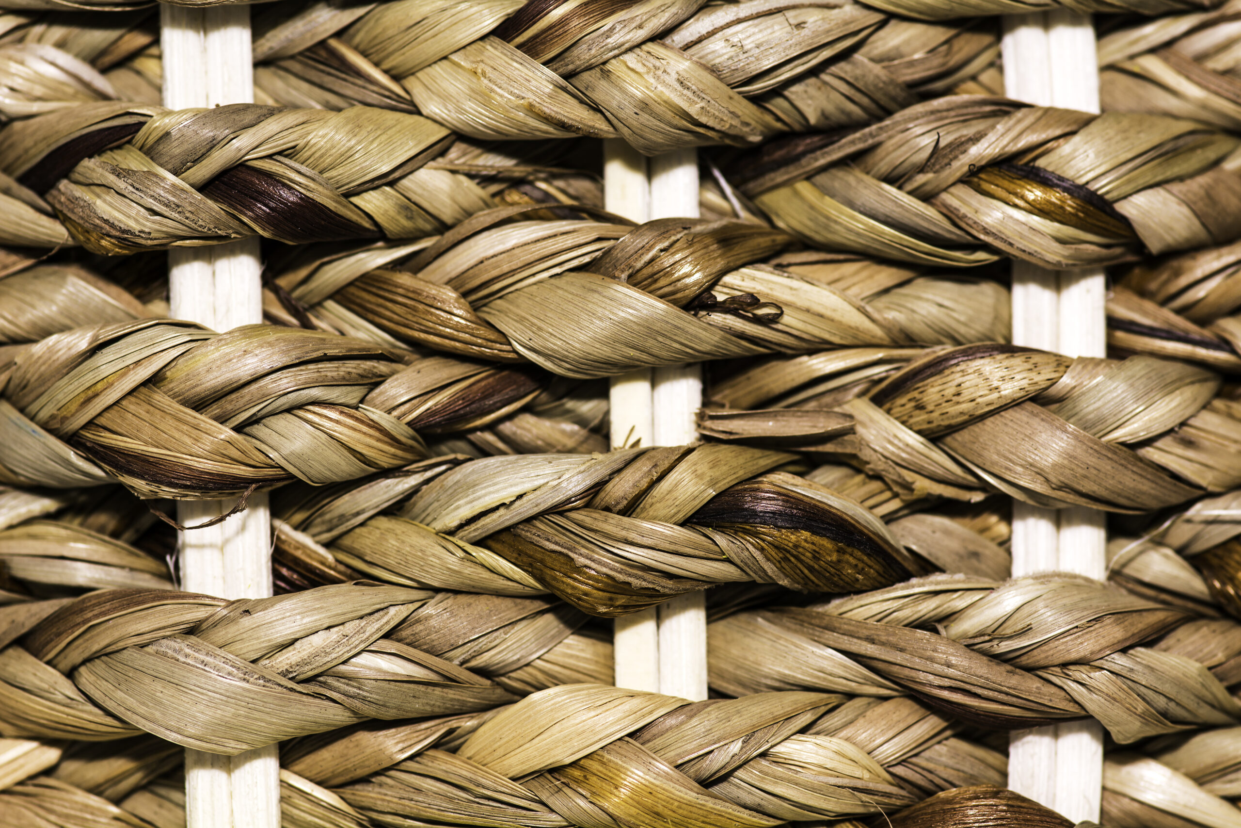 Abaca Fiber Market Size to Surpass USD 1362.1 Million by 2030